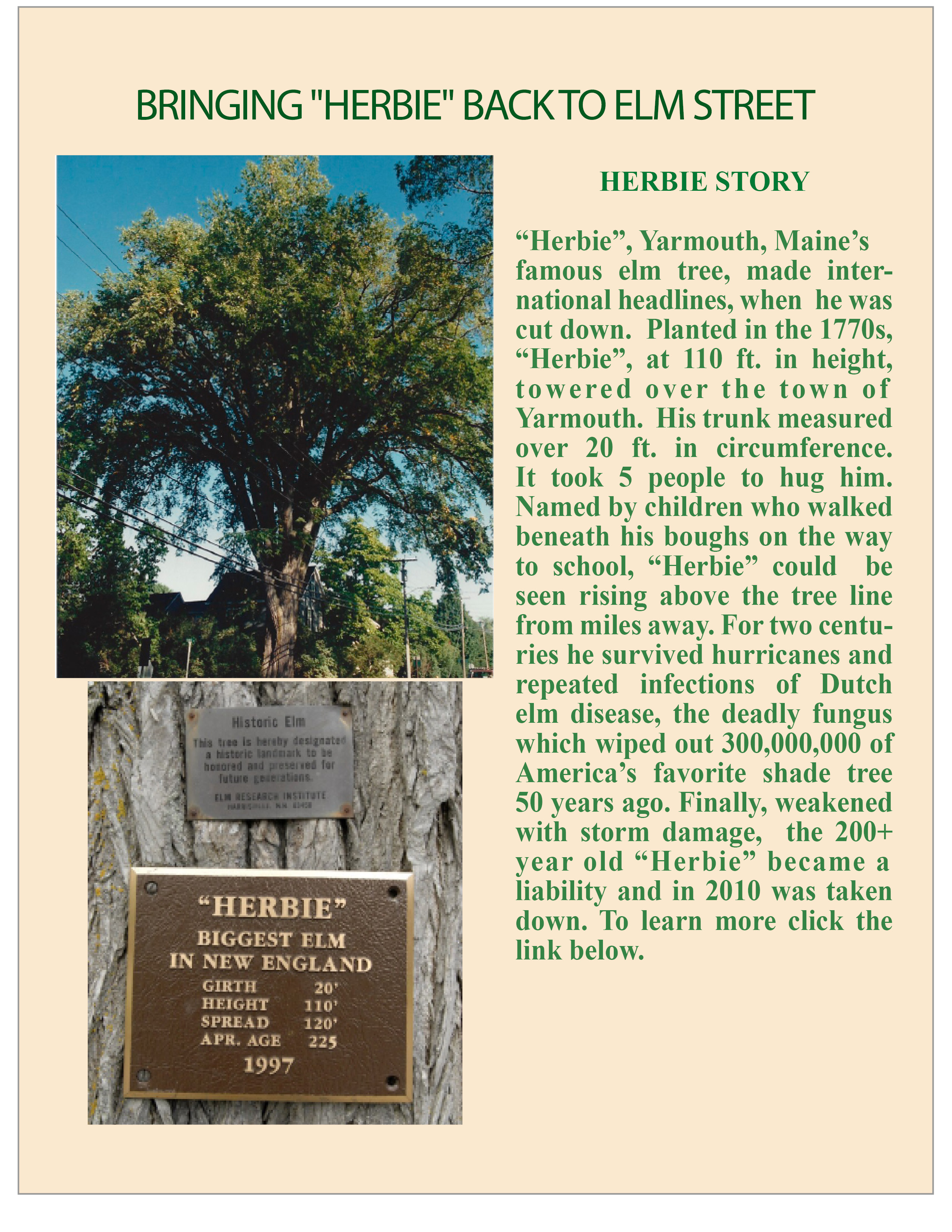 Liberty Tree Society